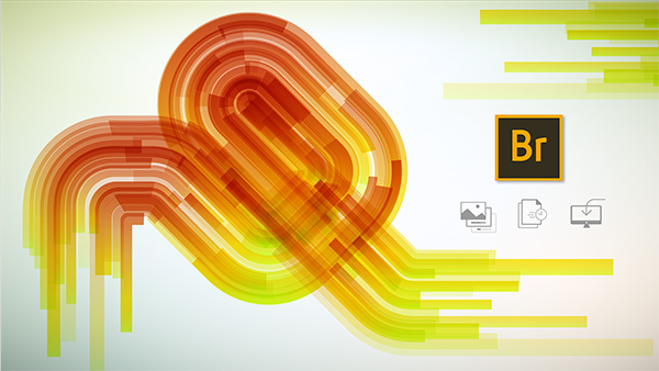 Adobe (Finally) Updates Bridge Image Management Application with ...