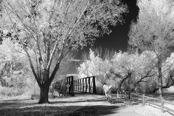 Monochrome Makers: Our Favorite Gear for Creating Black-and-White ...