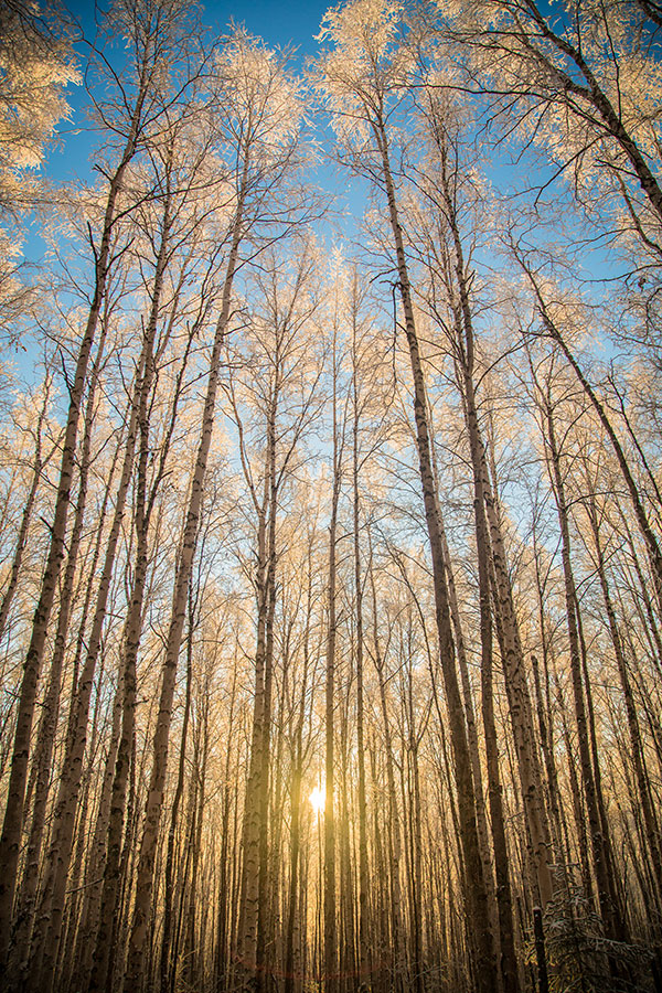 Land Lines How To Use Lines In Nature To Draw The Viewer Into Your Land Lines How To Use Lines In Nature To Draw The Viewer Into Your