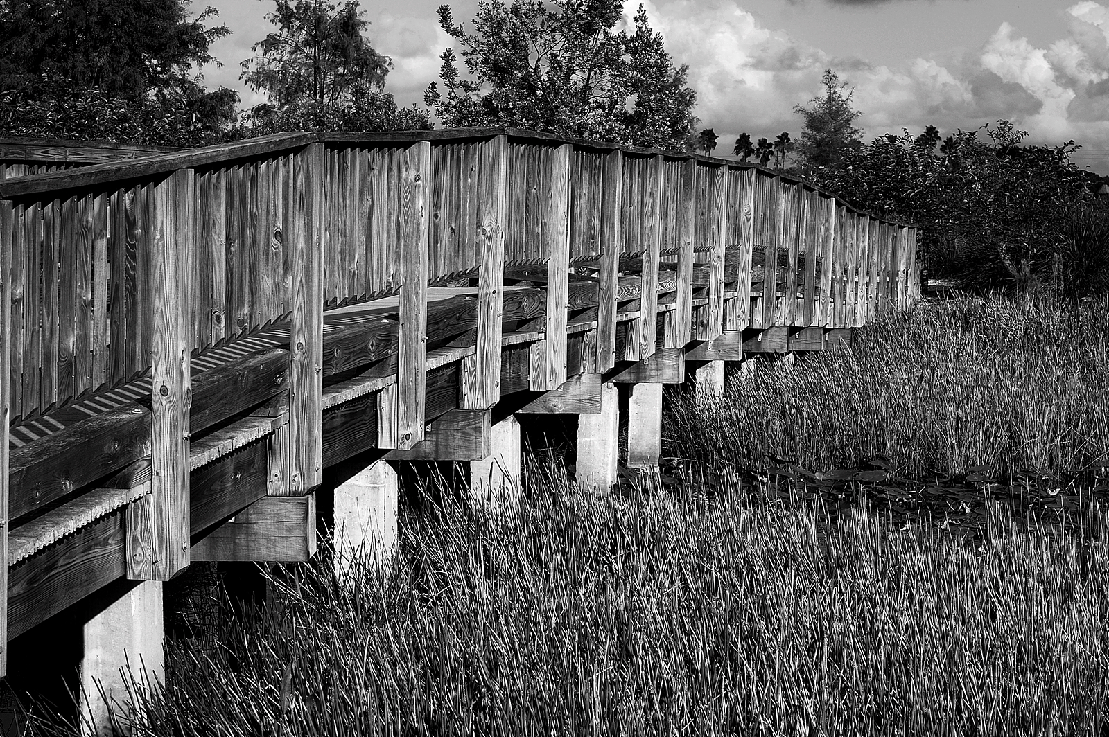 Narrow Bridge | Shutterbug