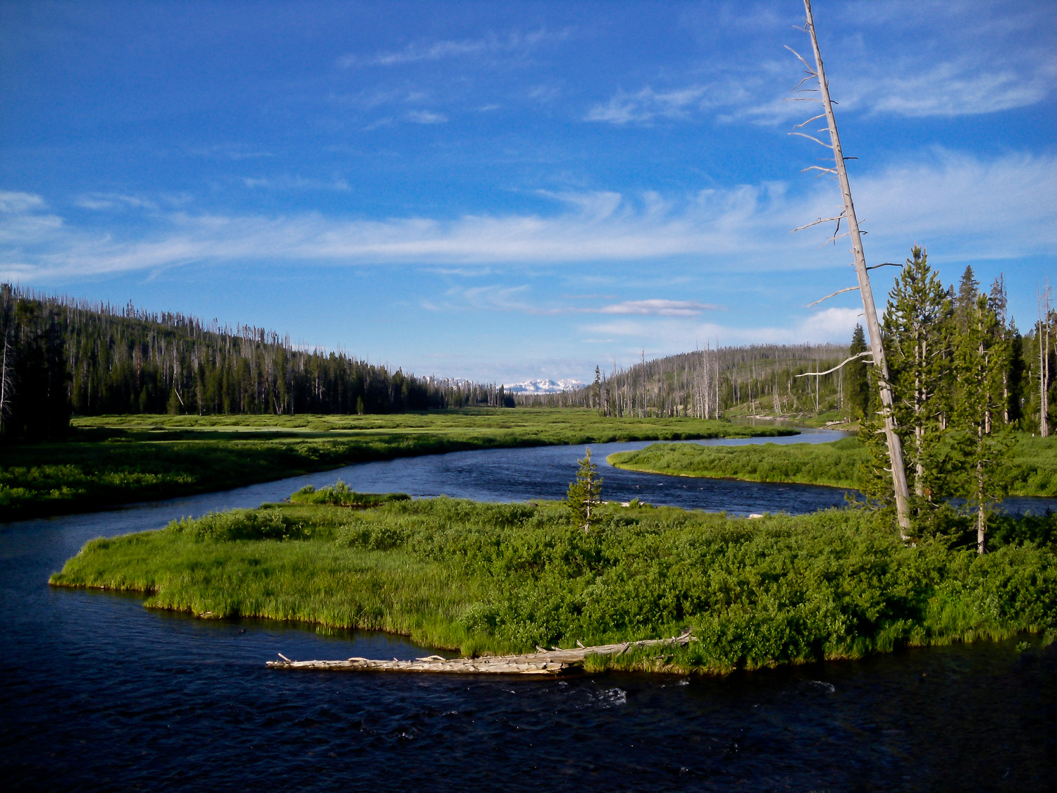 South Yellowstone | Shutterbug