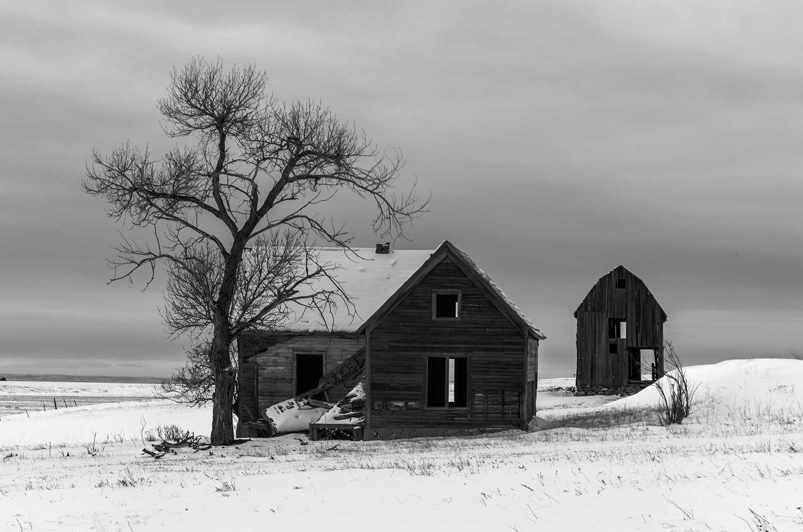 Harsh Prairie Winter | Shutterbug