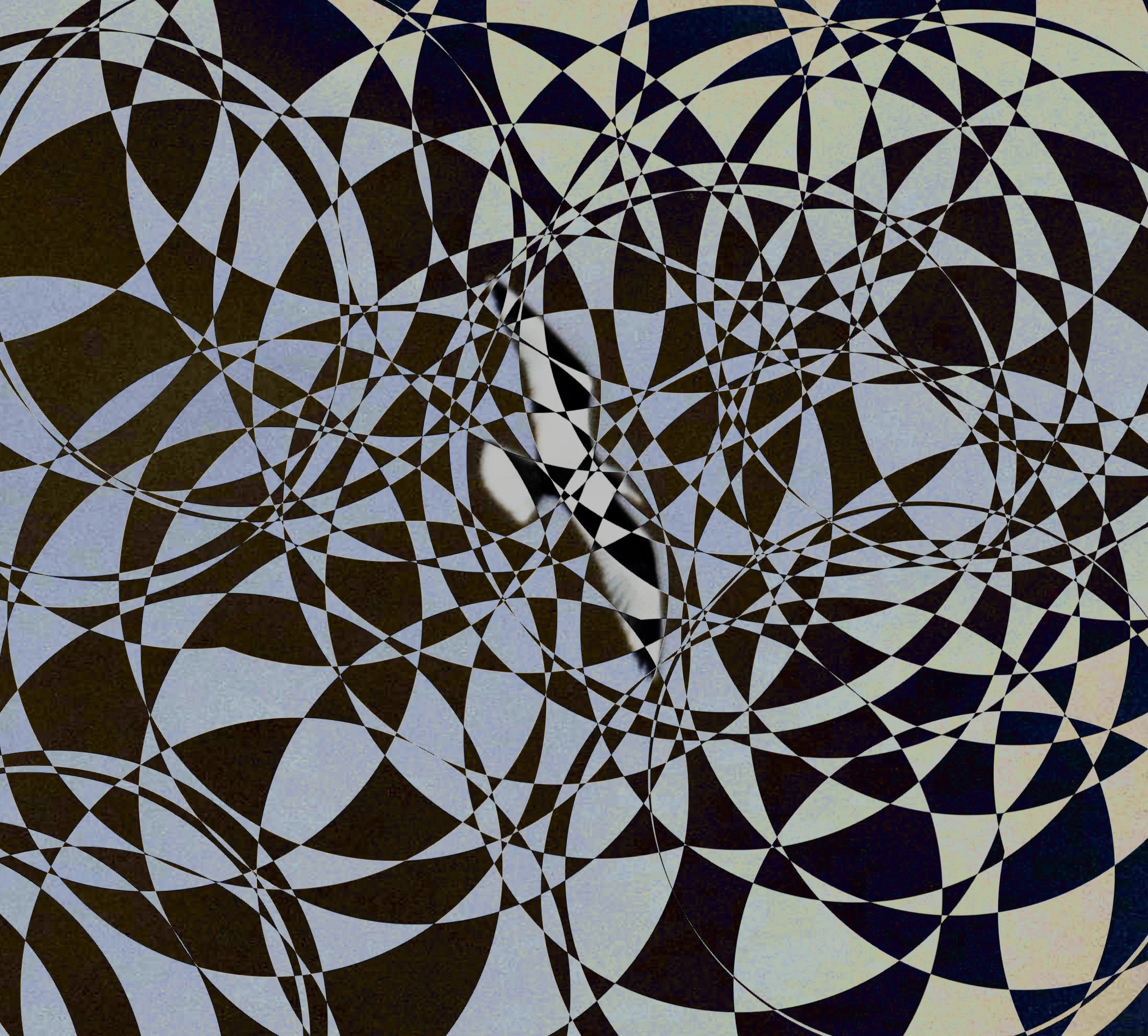 Shattered Sight | Shutterbug