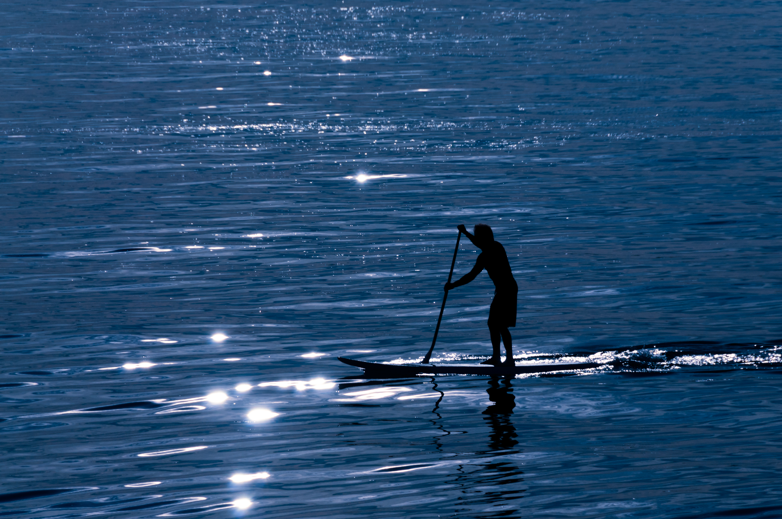 Lone Paddle Boarder Silhouette | Shutterbug