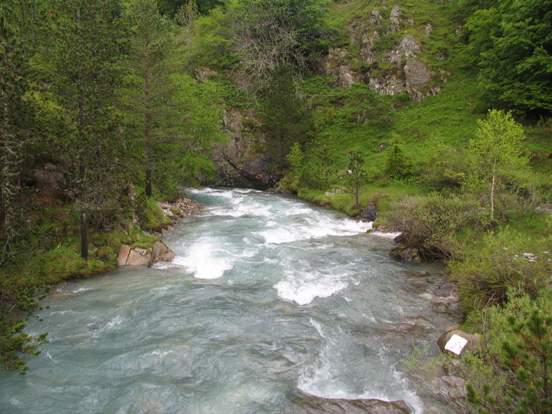 Colorado Creek | Shutterbug