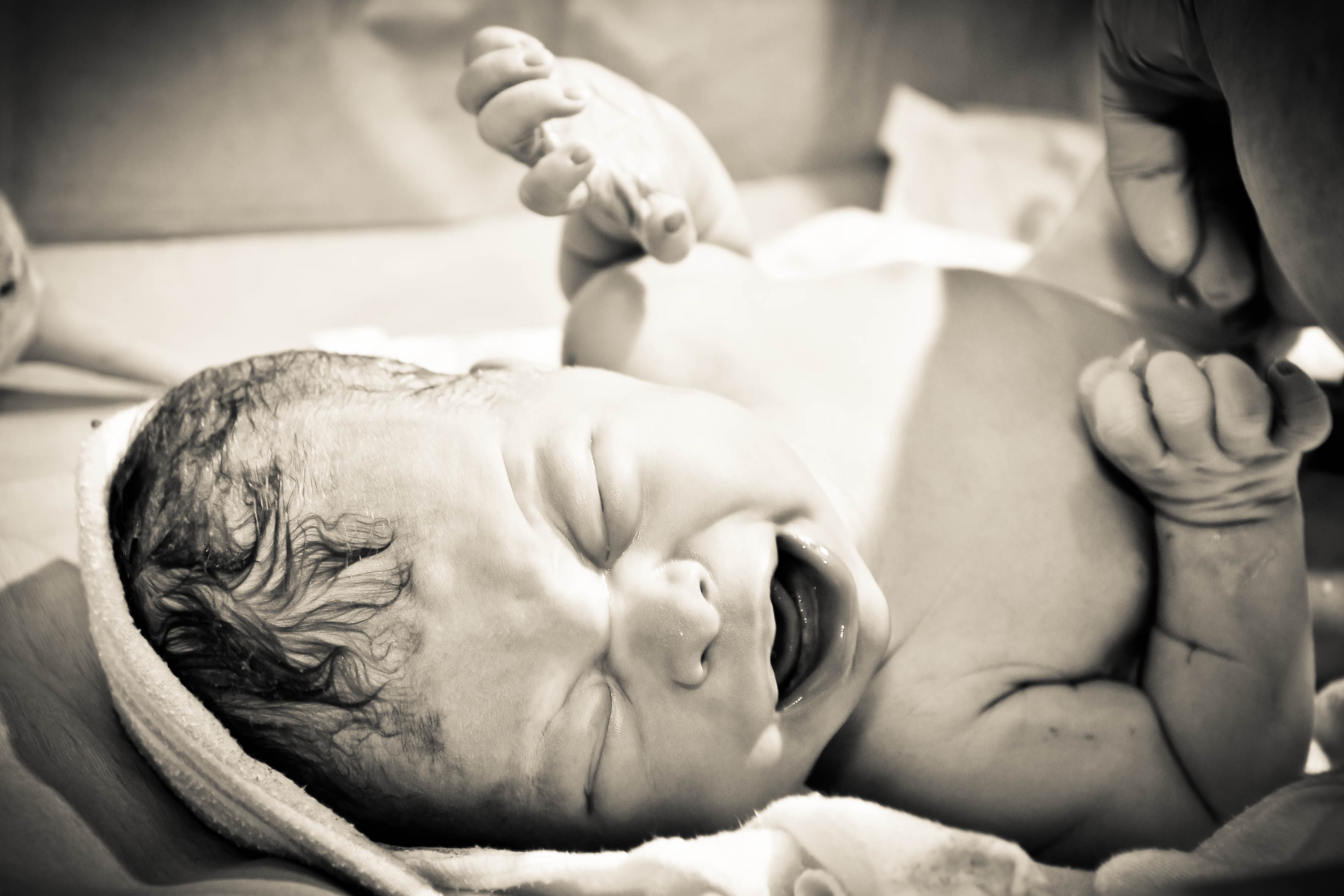 First Breath of Life | Shutterbug