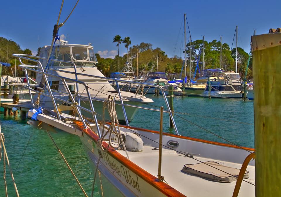 Dunedin Marina | Shutterbug