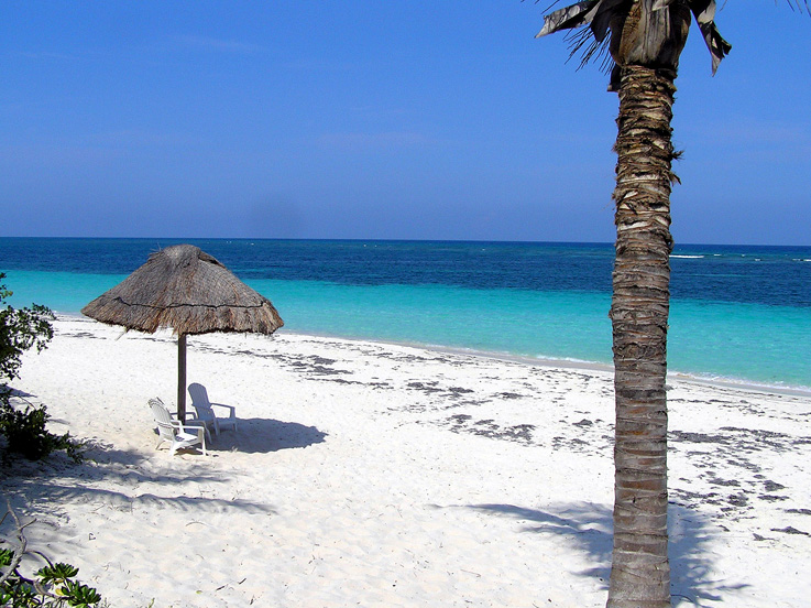 View from main palpap | Shutterbug