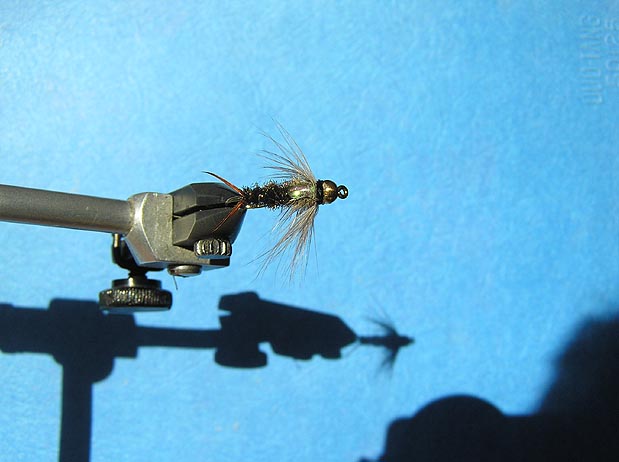 Twenty_Incher_41 | Shutterbug