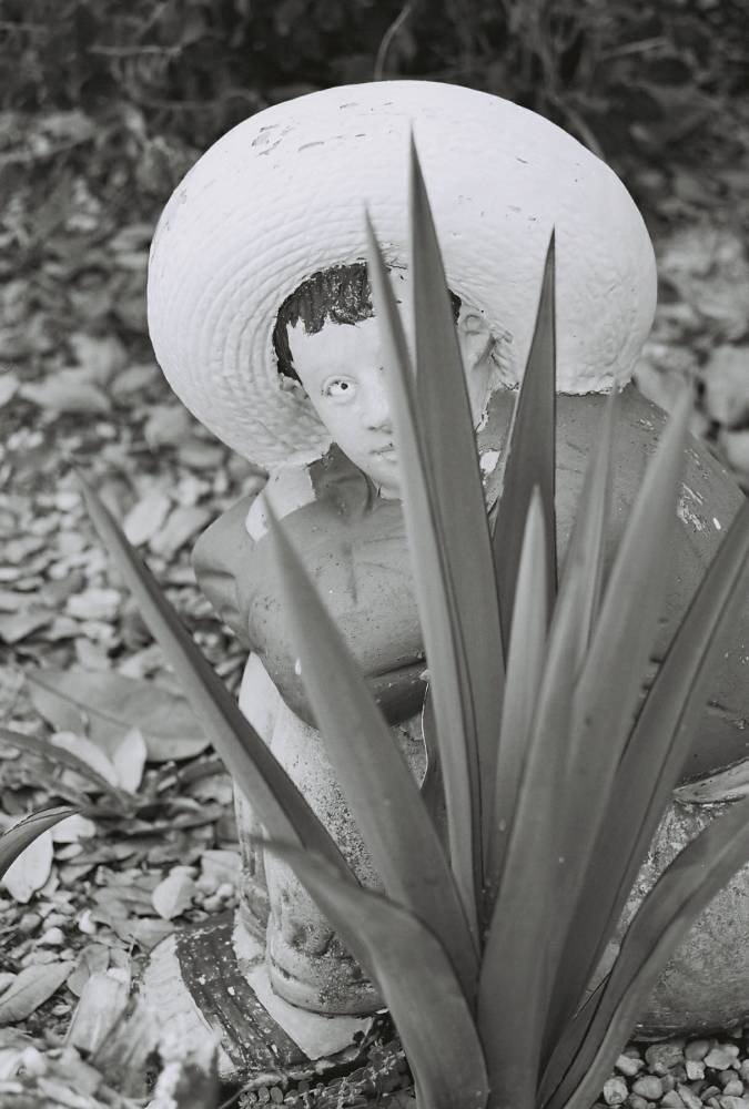 Hide Out 2 | Shutterbug