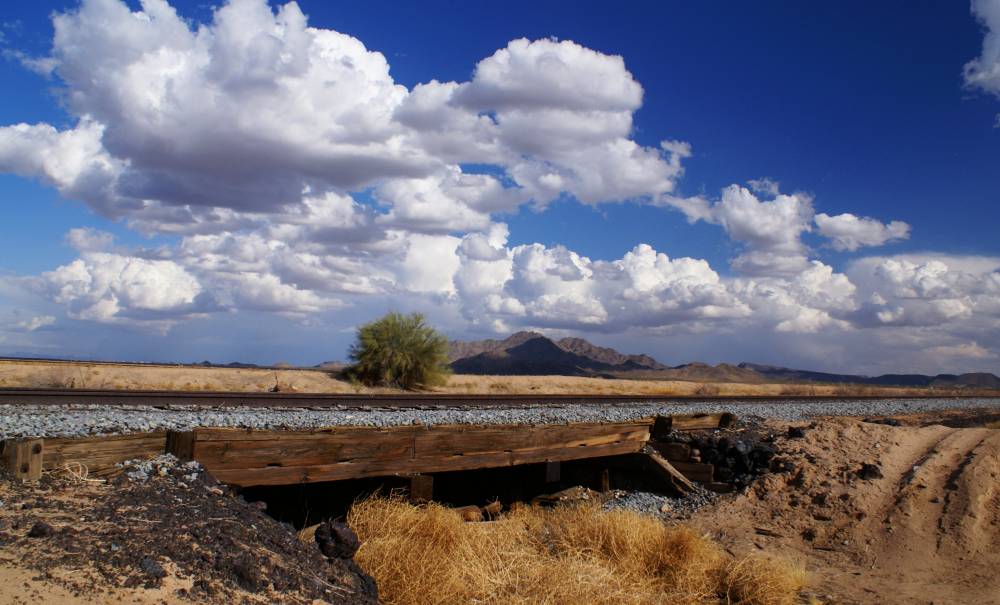 DESERT WASH | Shutterbug