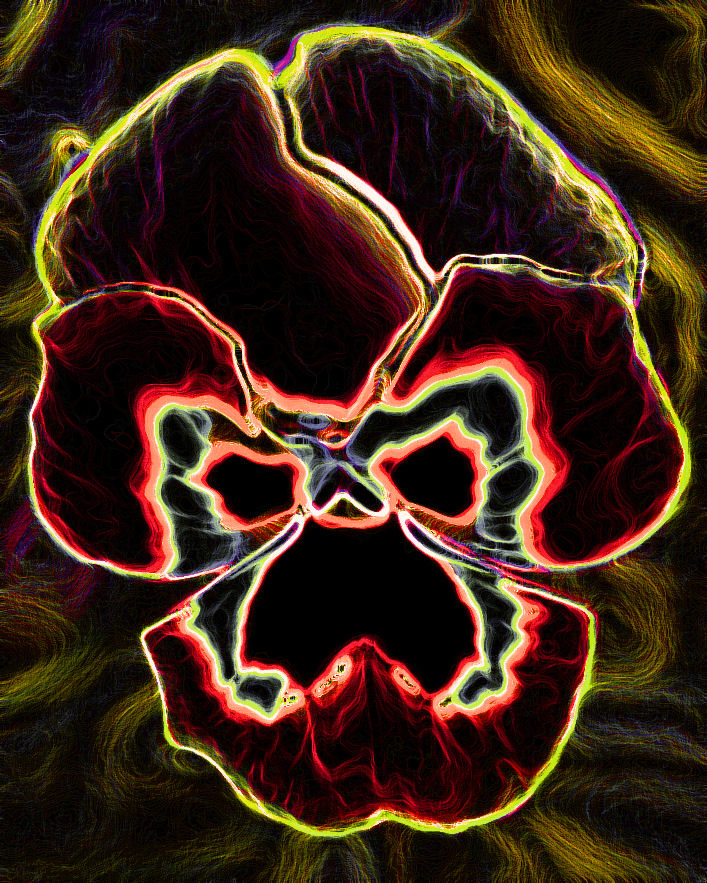 Haunted Flower | Shutterbug