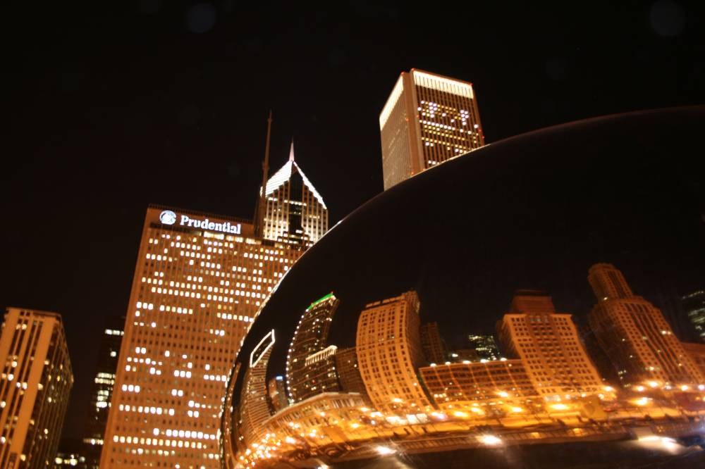 Night Bean | Shutterbug