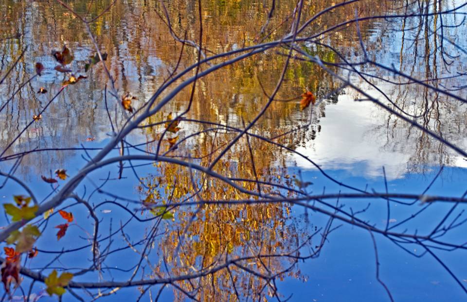 REFLECTIONS OF A FALL DAY | Shutterbug