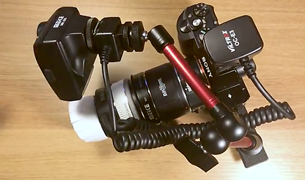 This DIY Super Macro Rig Delivers 2.3X Magnification for Only $230—Lens ...