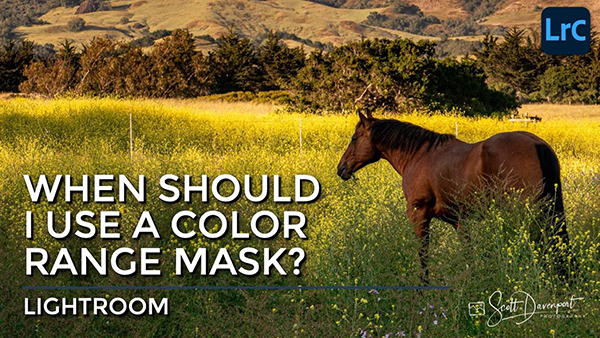 When Color Range Masks Are Better for Nature Photo Edits Than HSL ...