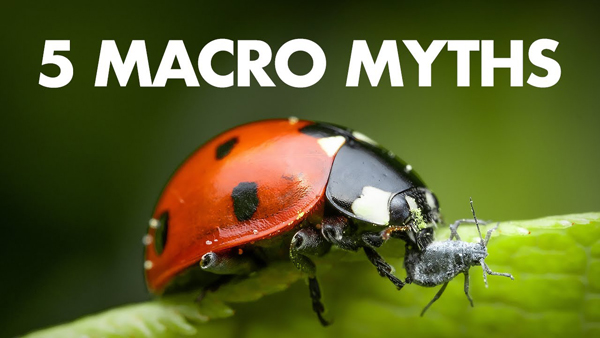 5 Macro Photography Myths You Should Ignore (VIDEO) | Shutterbug