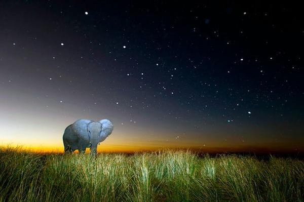 Nature Photographer Captures Stunning Images of African Wildlife at ... Nature Photographer Captures Stunning Images of African Wildlife at ...