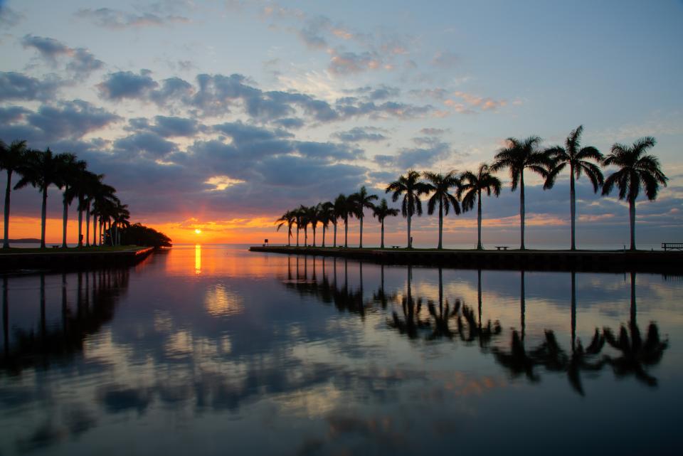 Palm Trees Miami Sunrise | Shutterbug