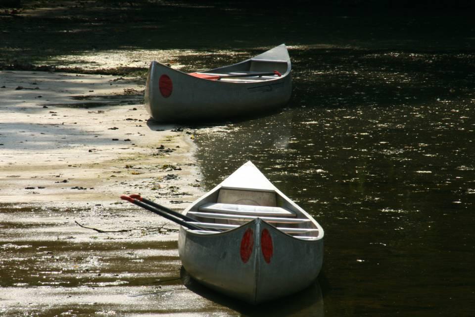 Summer Time Shutterbug